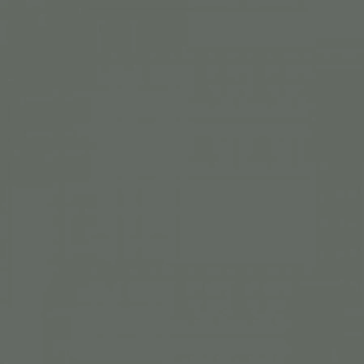 RAL 7005 Mouse grey