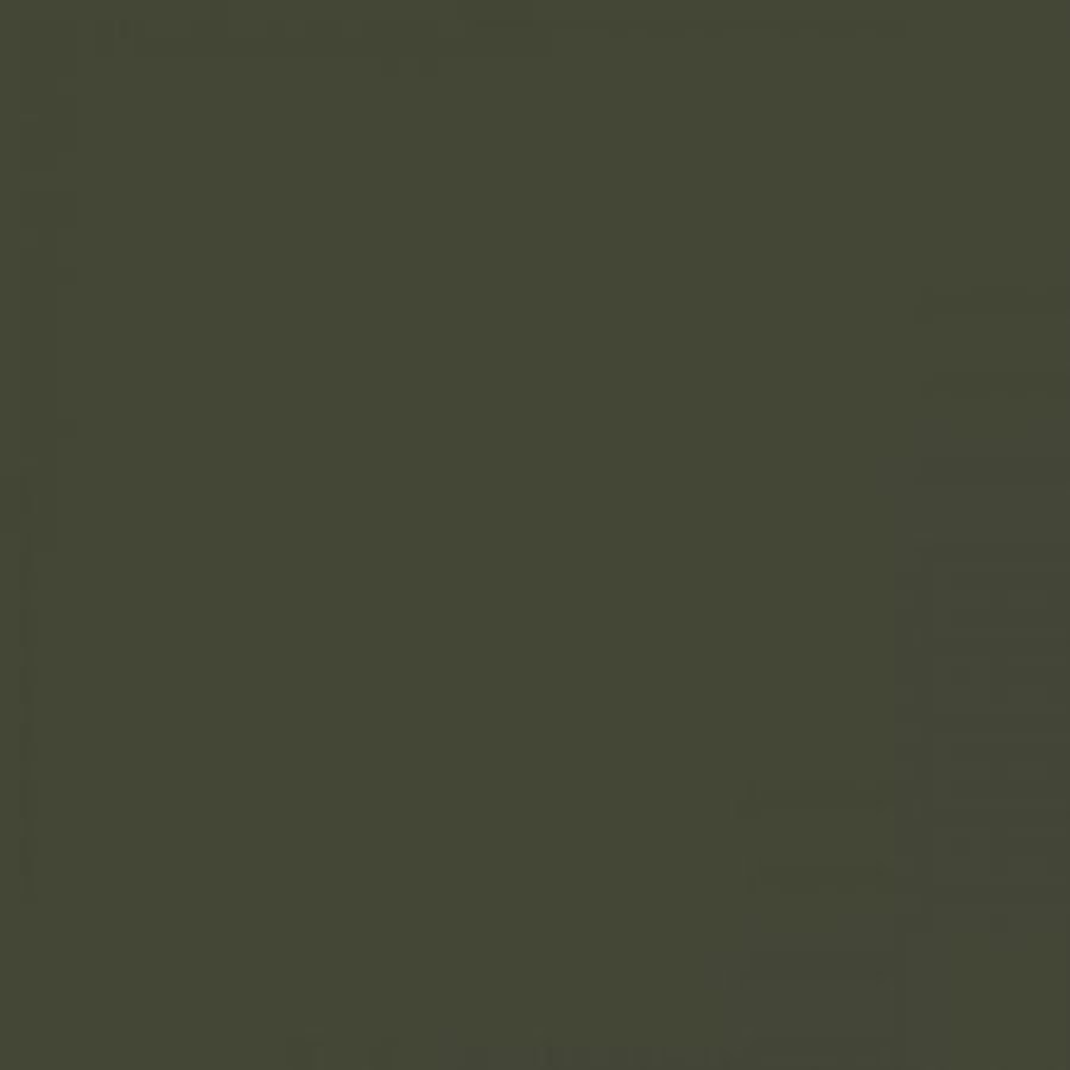 RAL 6003 Olive green