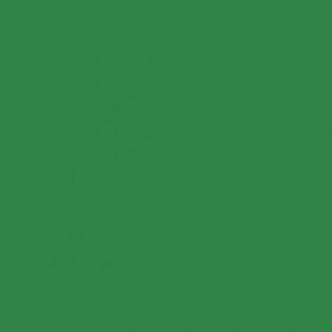 RAL 6024 Traffic green