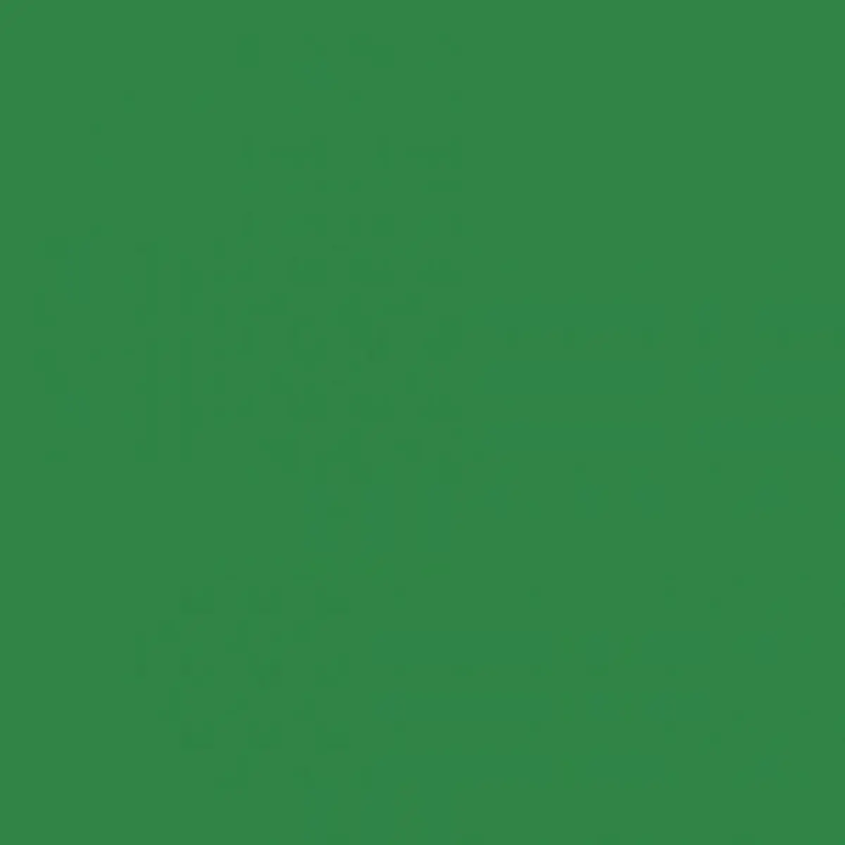 RAL 6024 Traffic green
