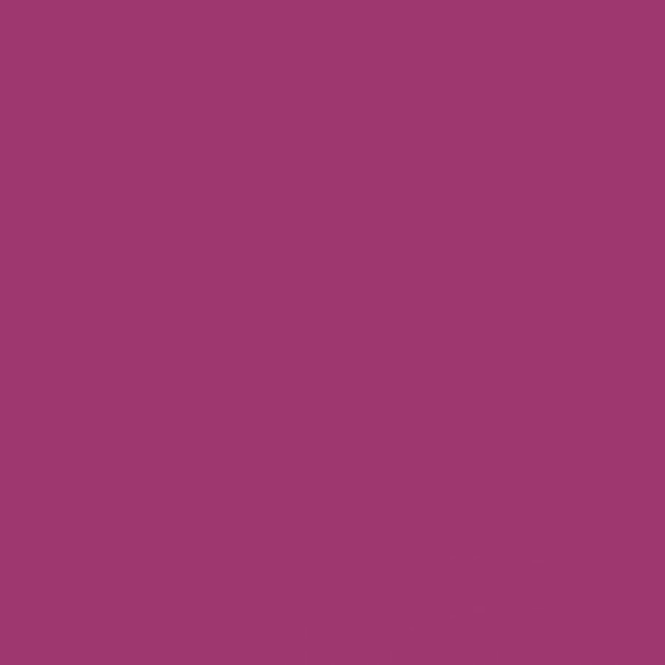 Ral 4006 Traffic purple