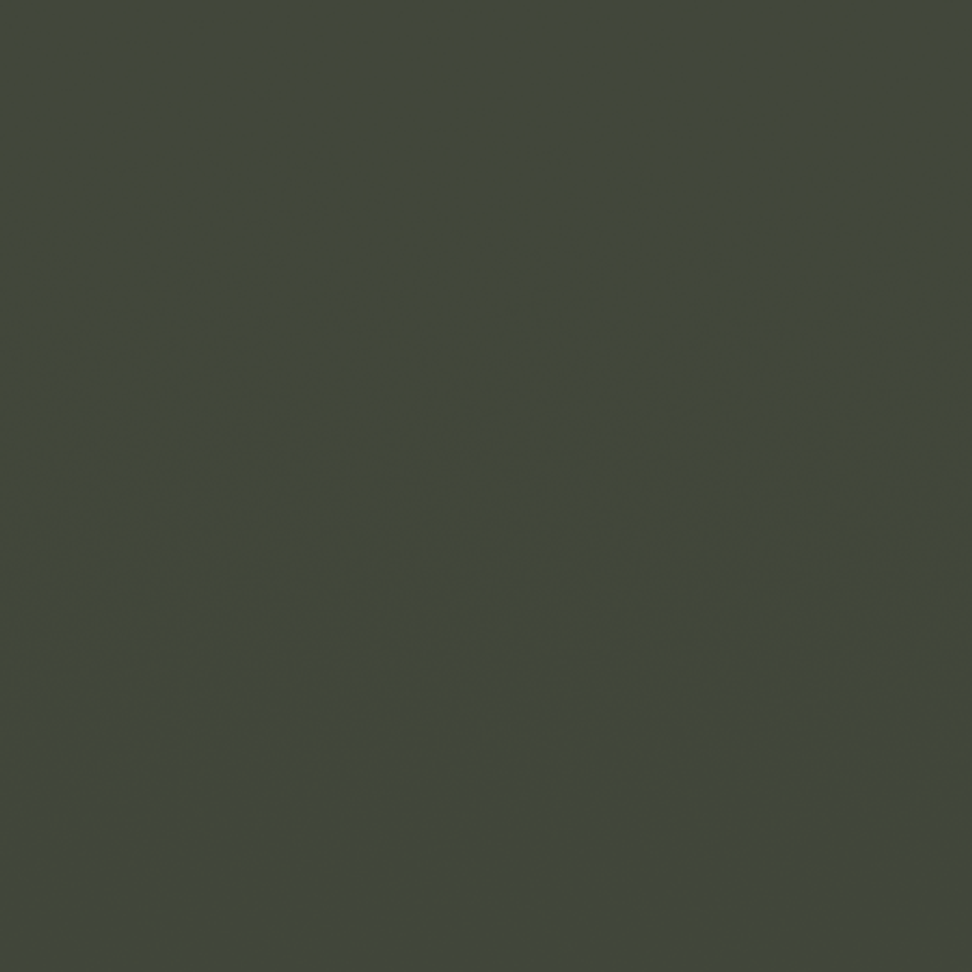 RAL 6031 Bronze green