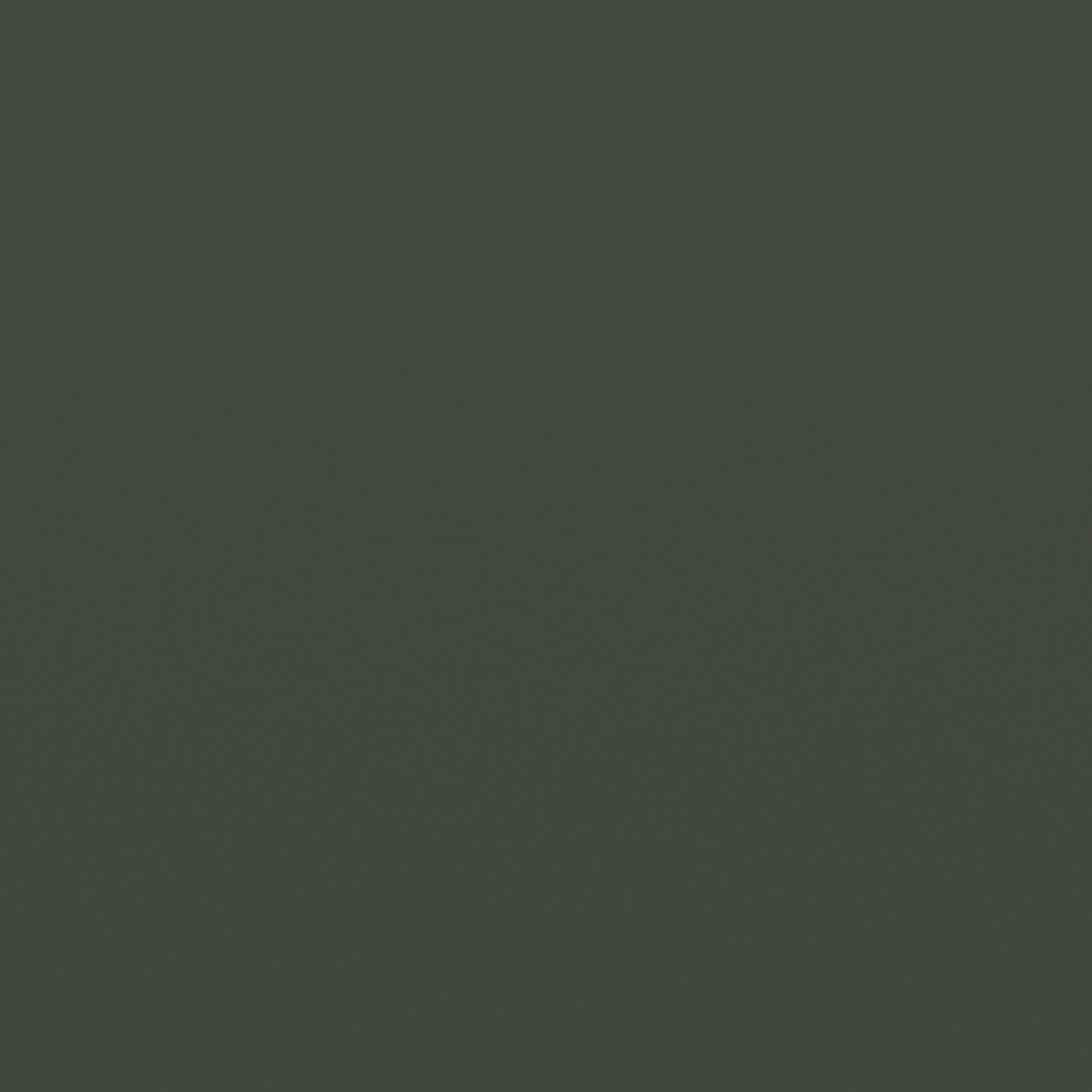 RAL 6031 Bronze green