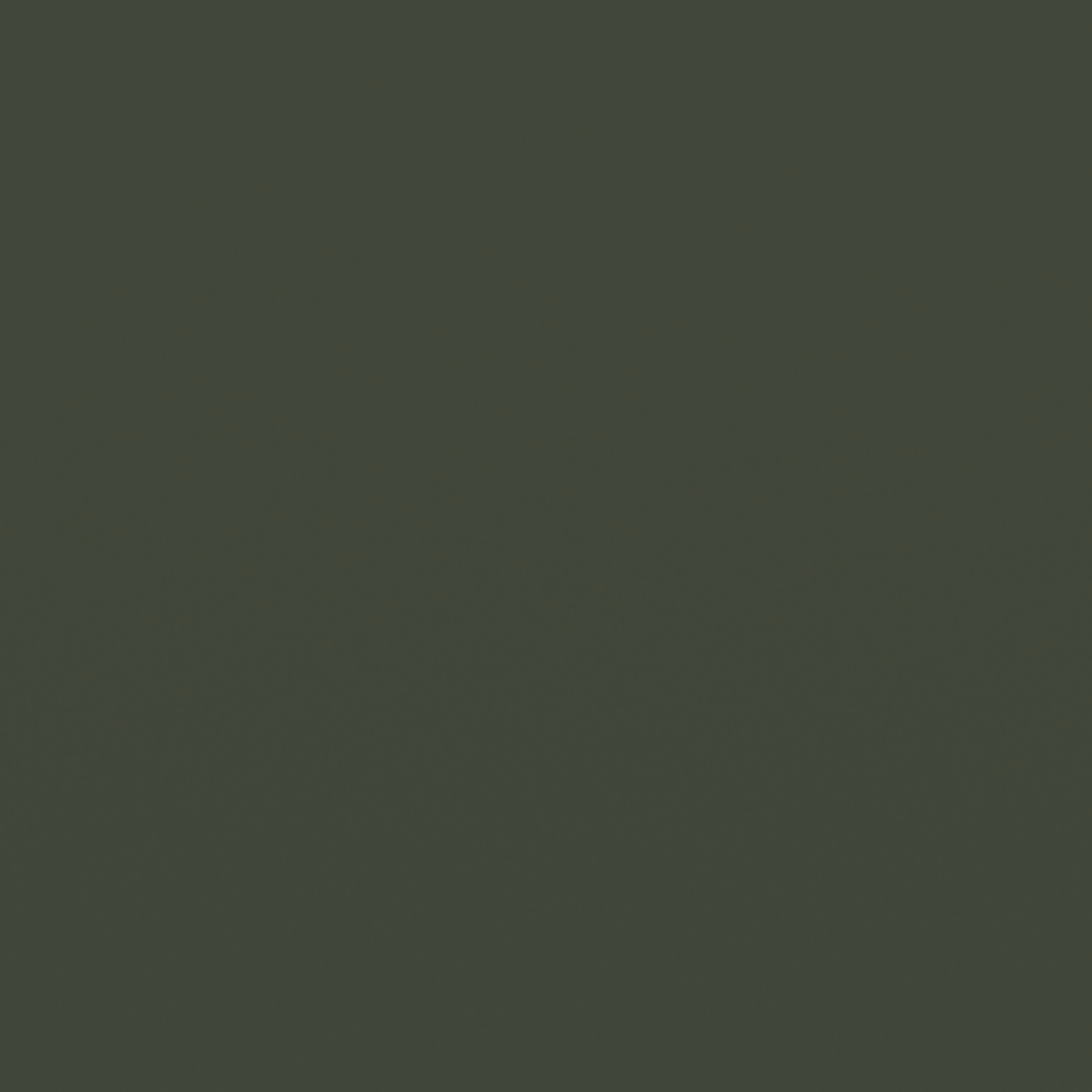 RAL 6031 Bronze green