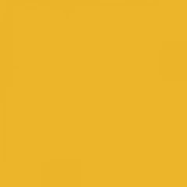 Ral 1023 Traffic Yellow
