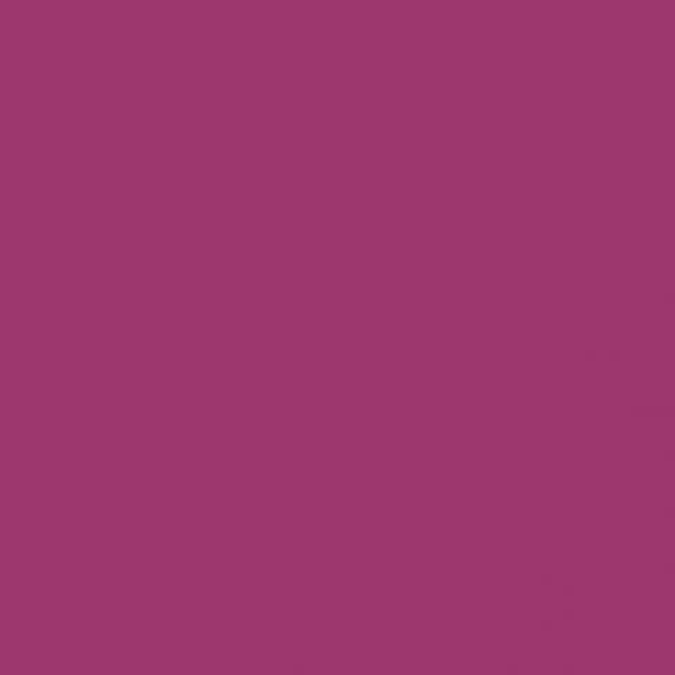 Ral 4006 Traffic Purple