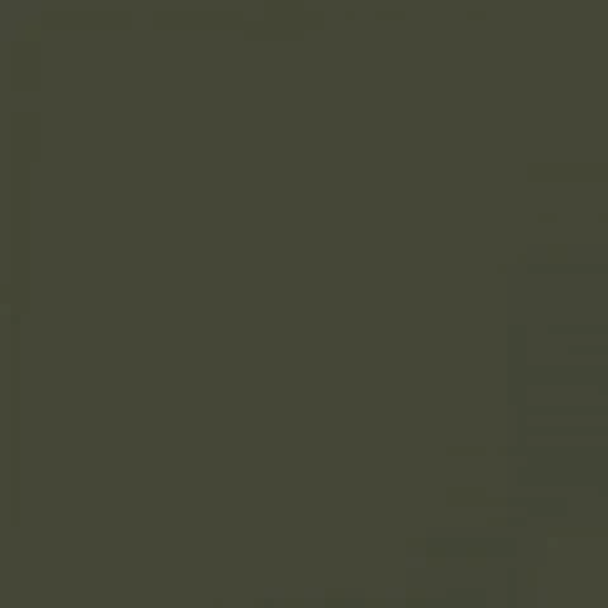 RAL 6003 Olive Green