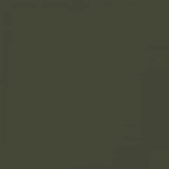 Ral 1020 Olive Yellow