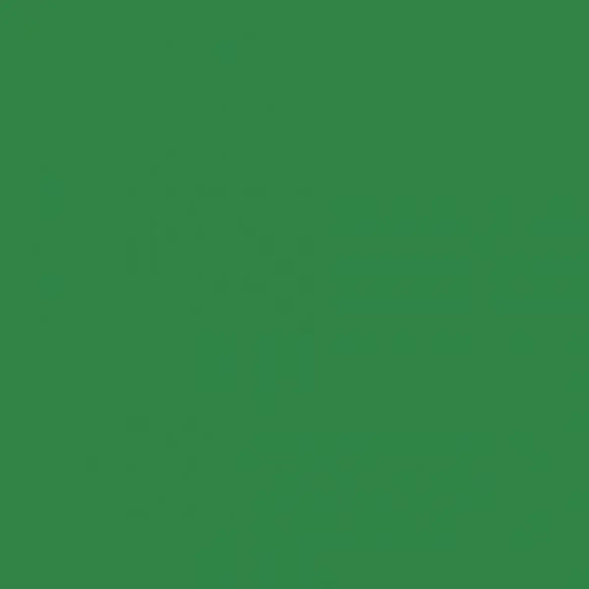 RAL 6024 Traffic Green