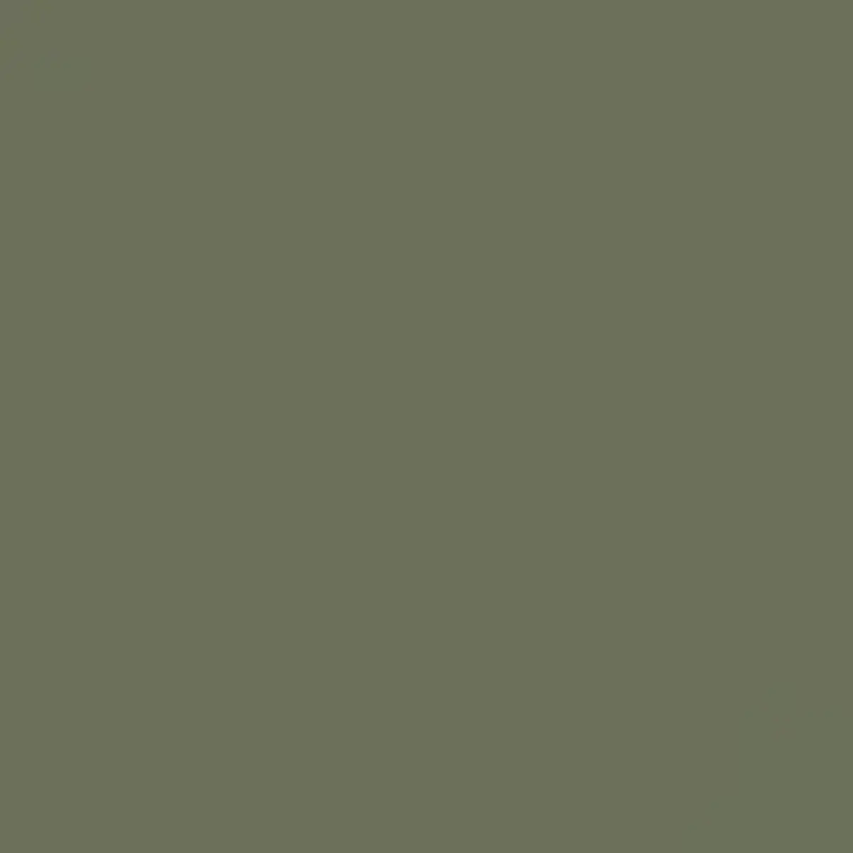 RAL 7003 Moss Grey