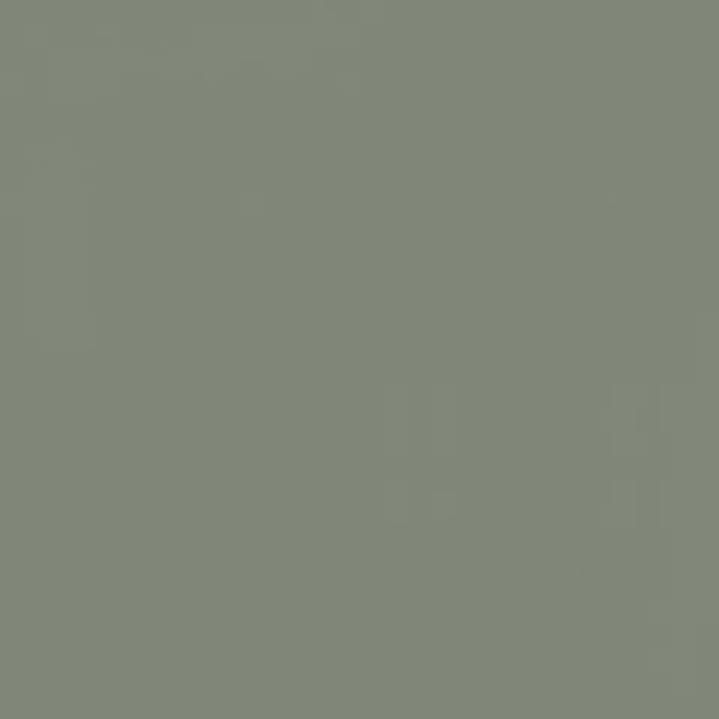 RAL 7033 Cement Grey