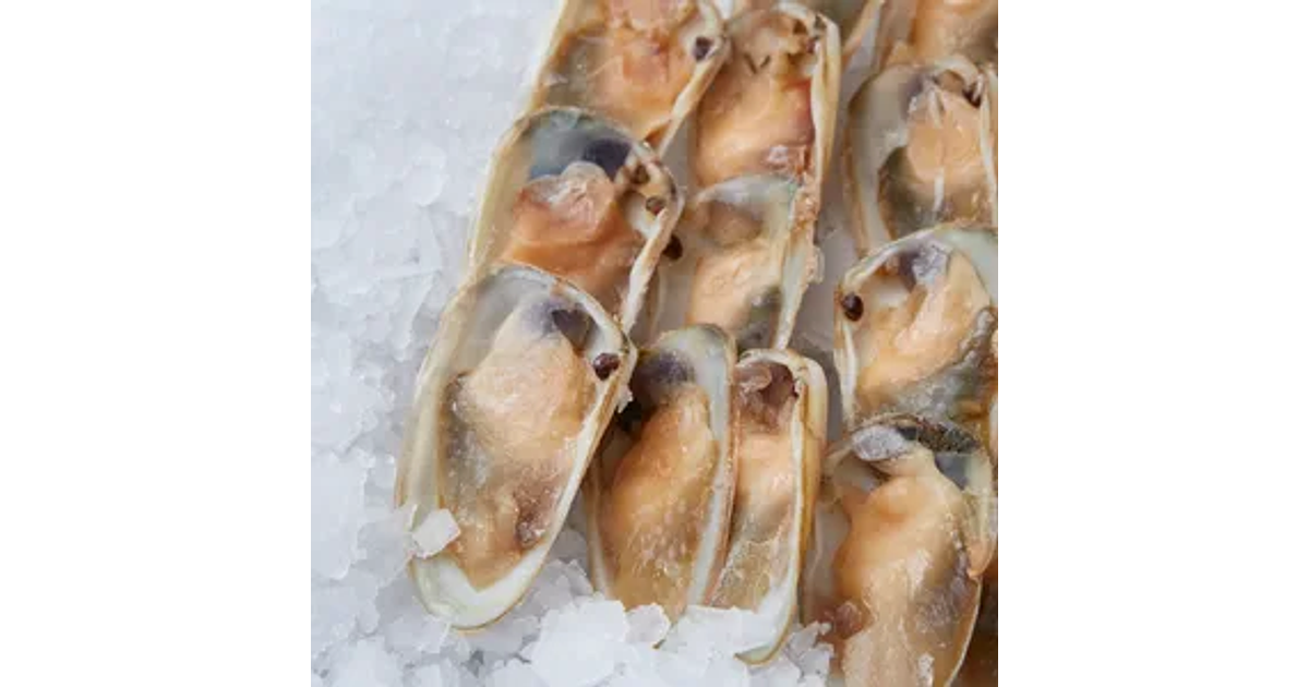 MACHAS MEDIA CONCHA BANDEJA