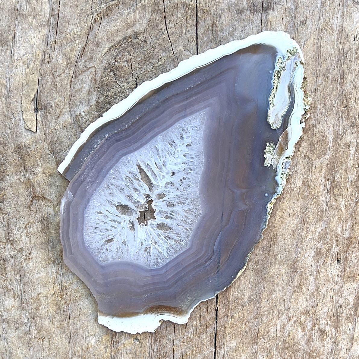 Lámina pulida de Ágata #7