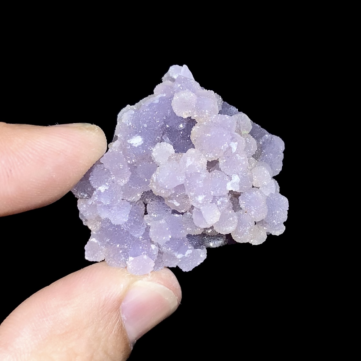 Ágata uva Calcedonia Botroidal en drusa cluster #9