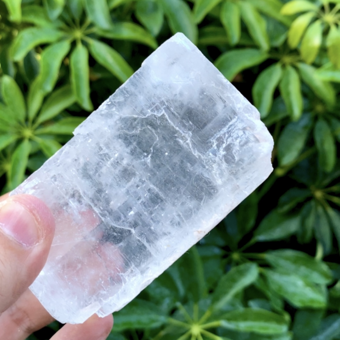 Halita sal mineral cristalizada #1