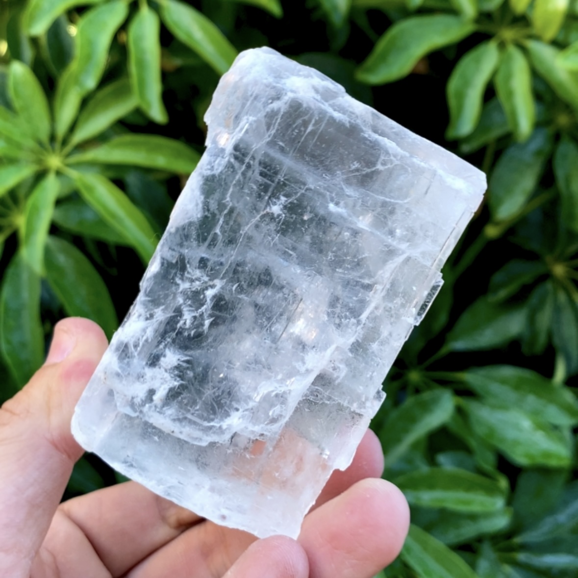 Halita sal mineral cristalizada #1
