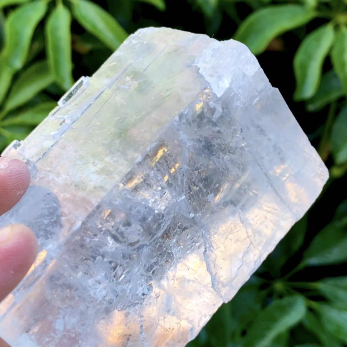 Halita sal mineral cristalizada #1