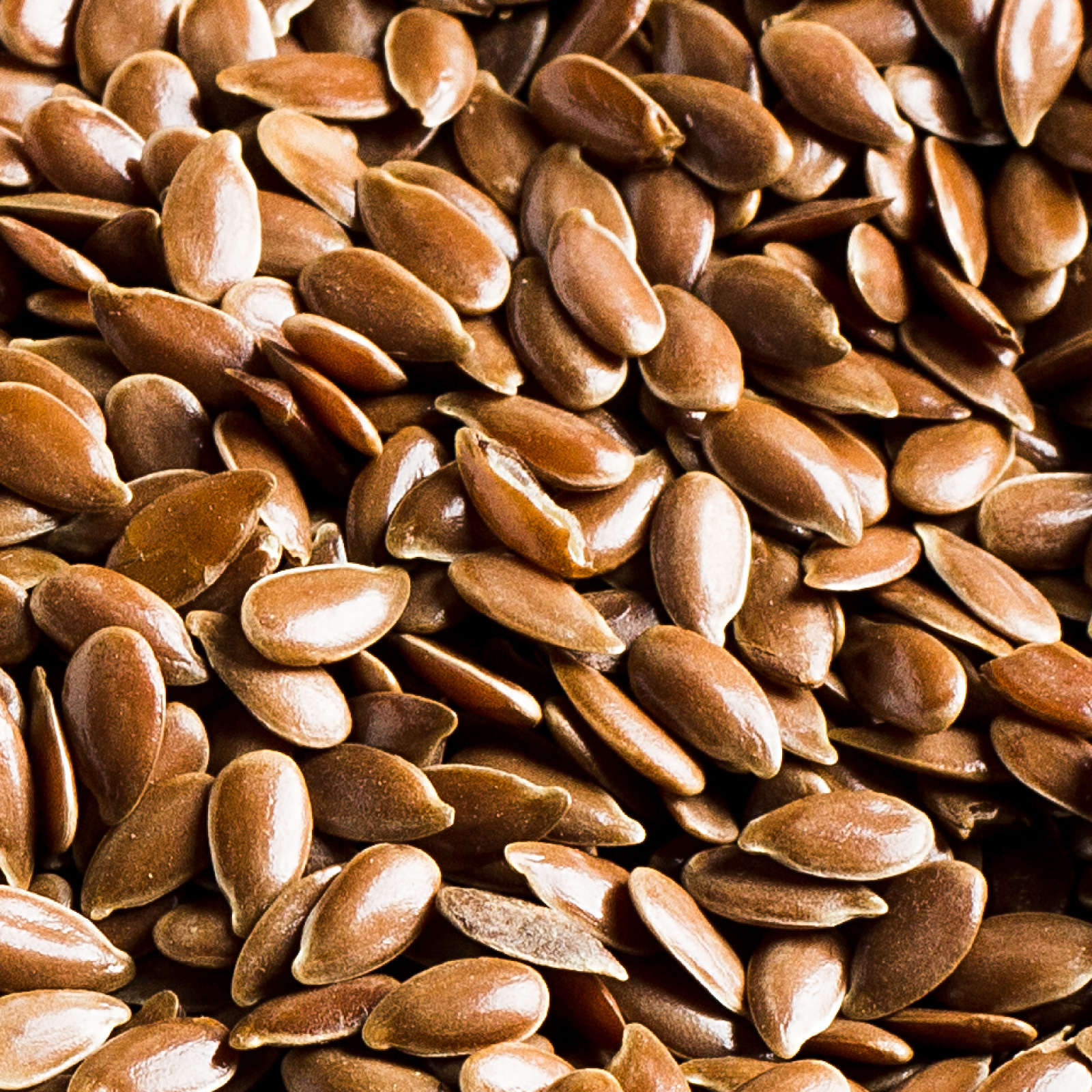 Venta de Semilla de Linaza en Antofagasta