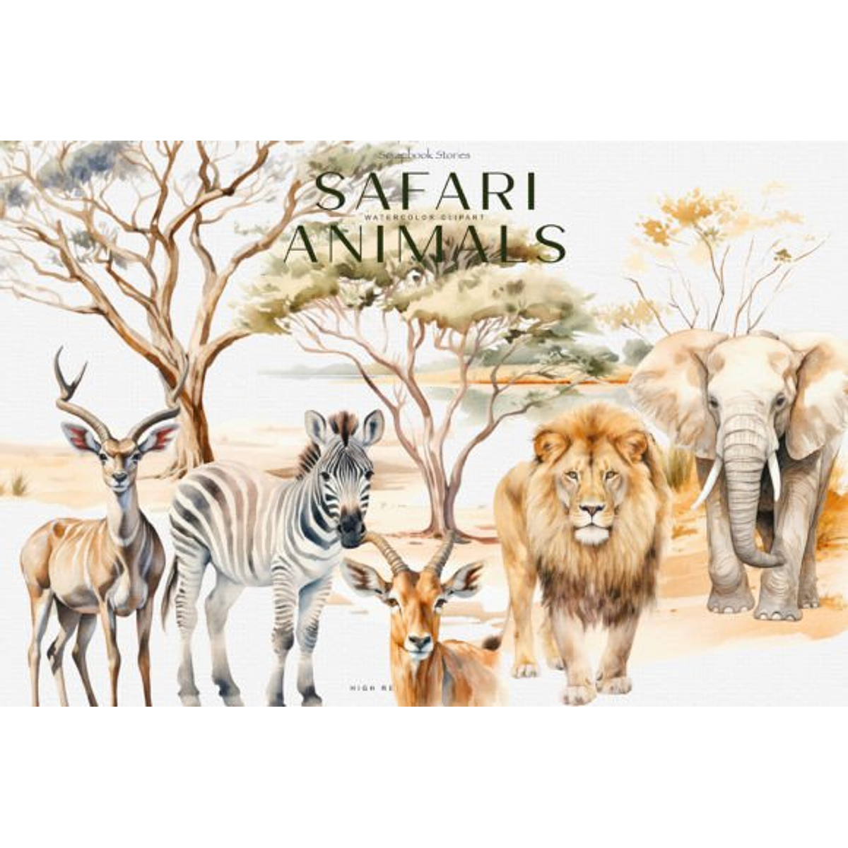 Kit Digital Safari Realista