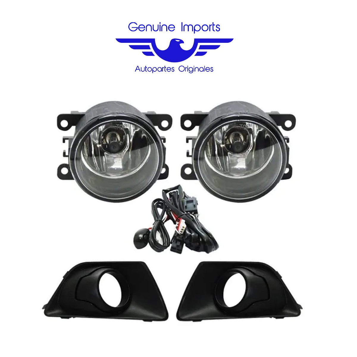 Kit Exploradoras Bona BoxLight