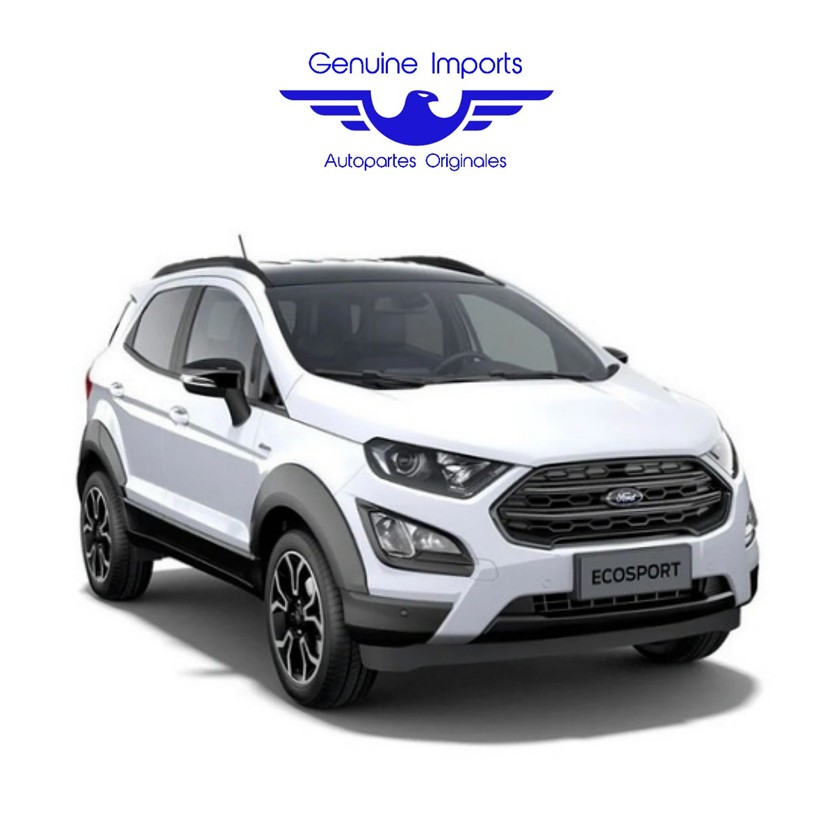 Kit Exploradoras Bona BoxLight