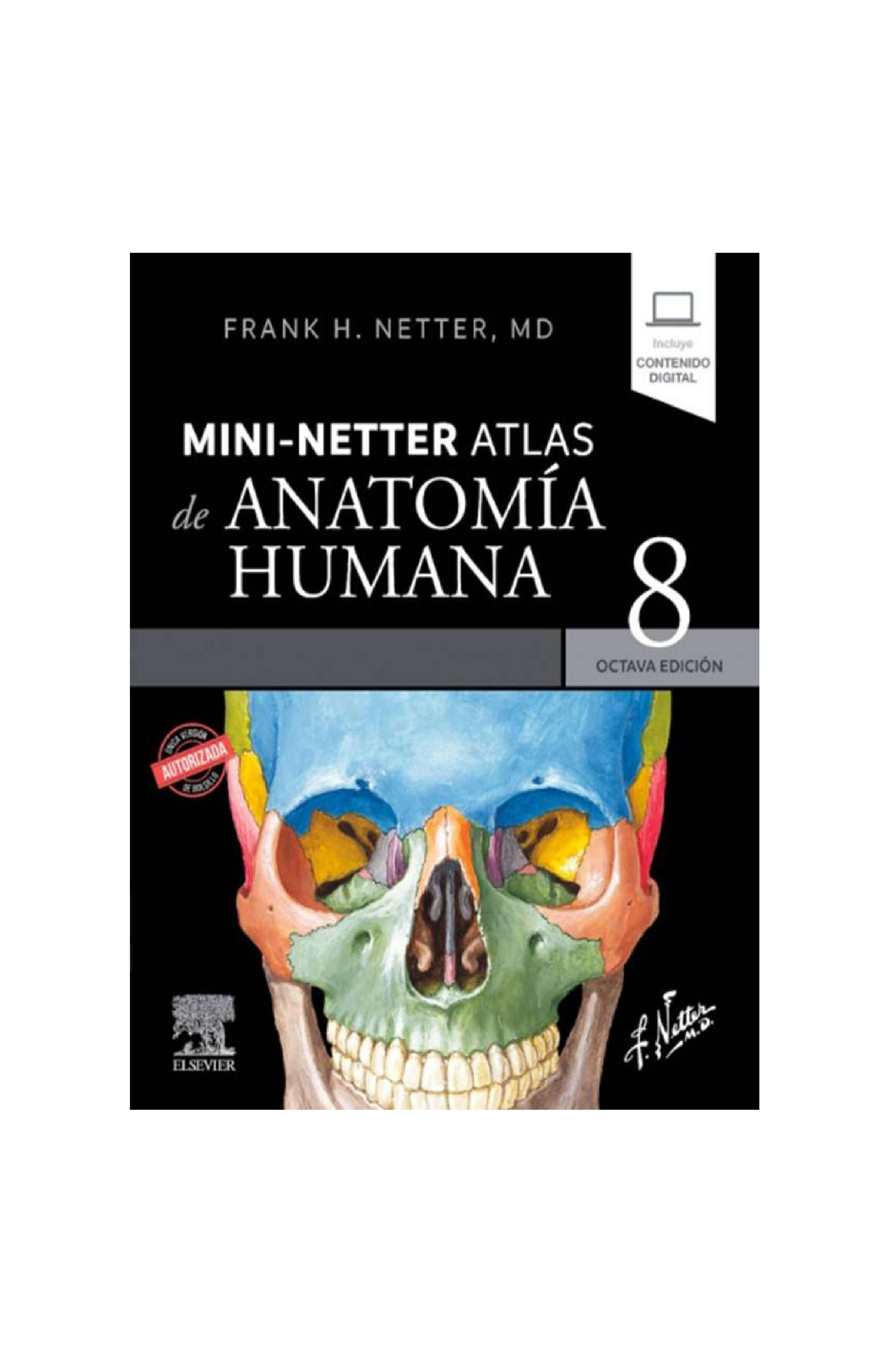 Mini-Netter. Atlas De Anatomía Humana, 8a ed