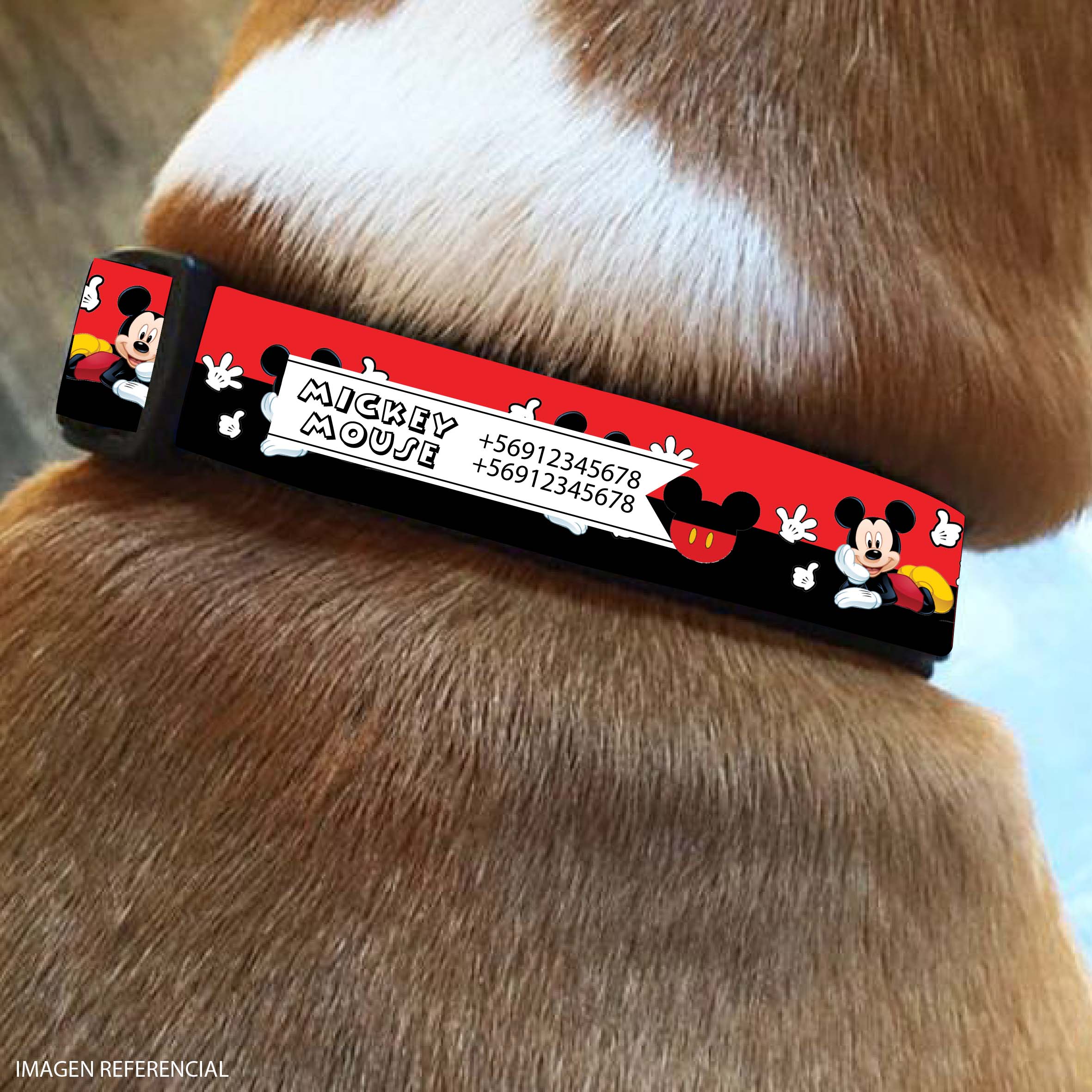 COLLAR ESTAMPADO MICKEY MOUSE