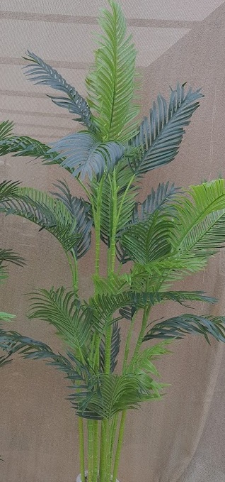 Green Palm