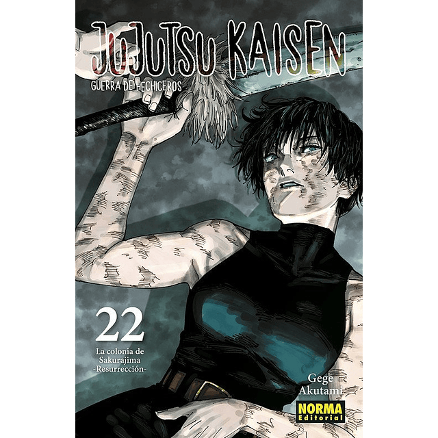 Jujutsu Kaisen 22