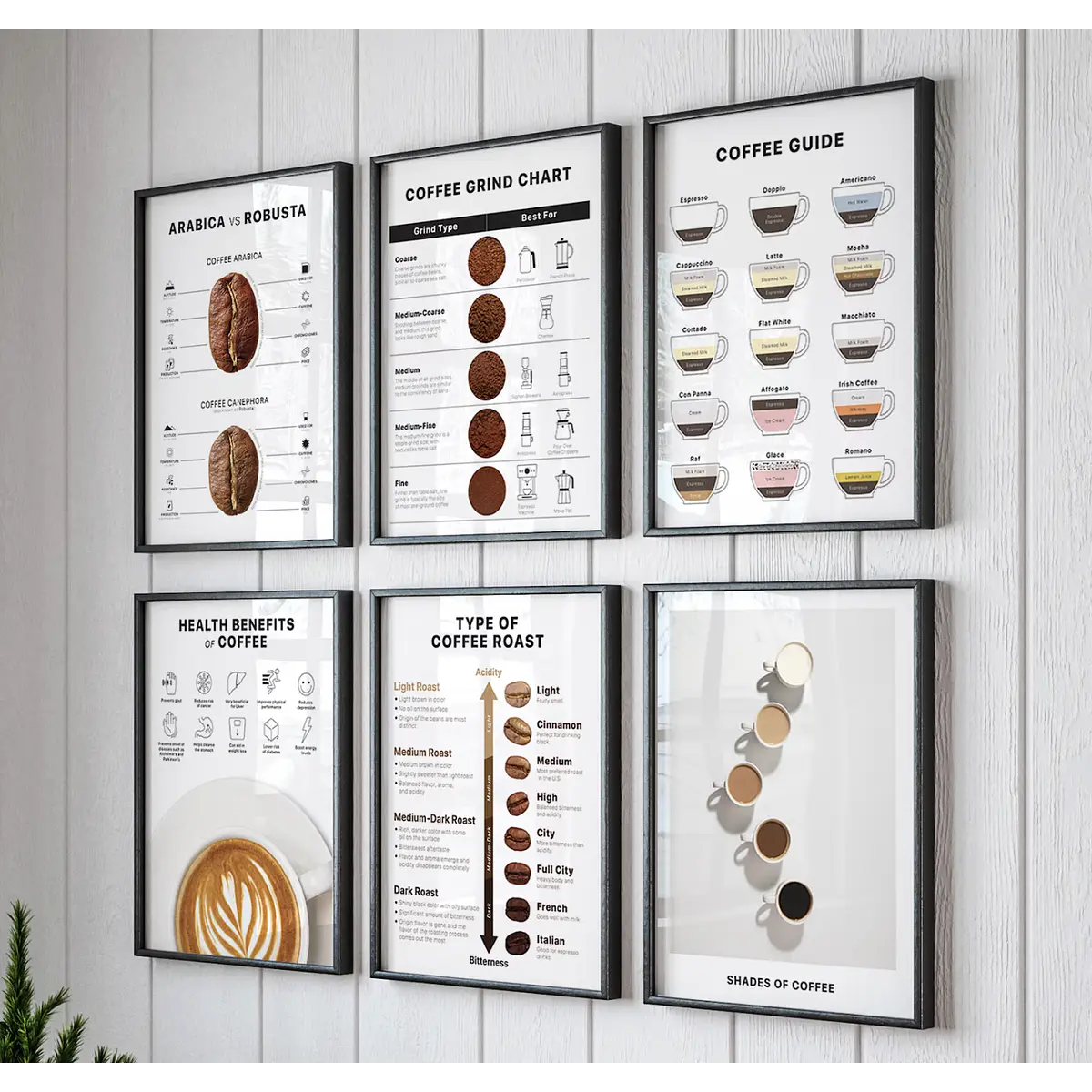 Guía del Café | Colección de 6 cuadros