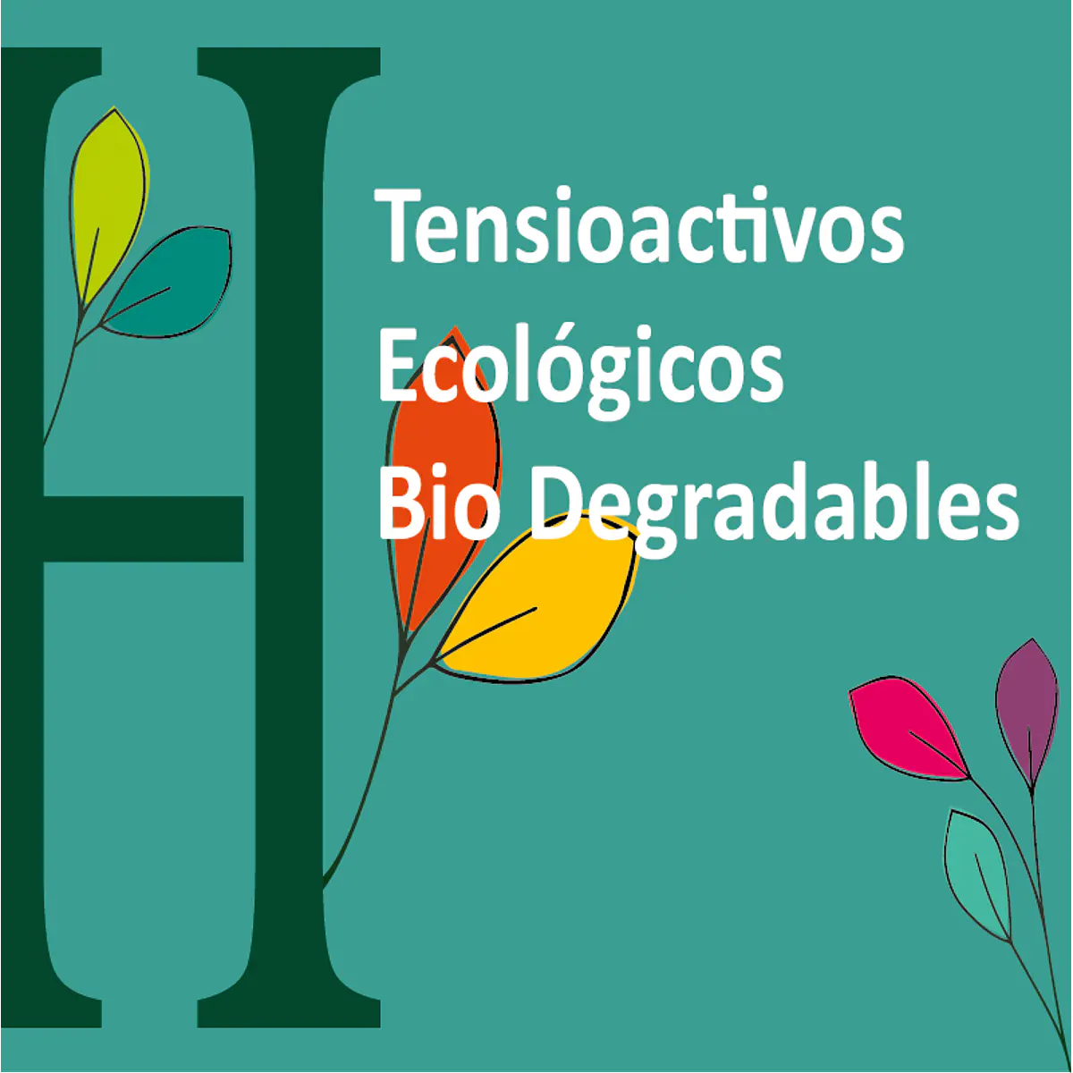 Bases y Tensioactivos