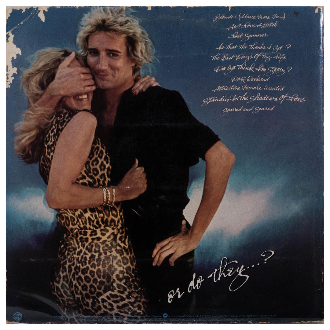 Rod Stewart Blondes Have More Fun Vinilo Usado