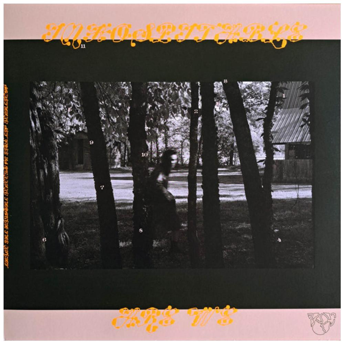 MITSKI - LAND IS INHOSPITABLE AND SO ARE WE | VINILO