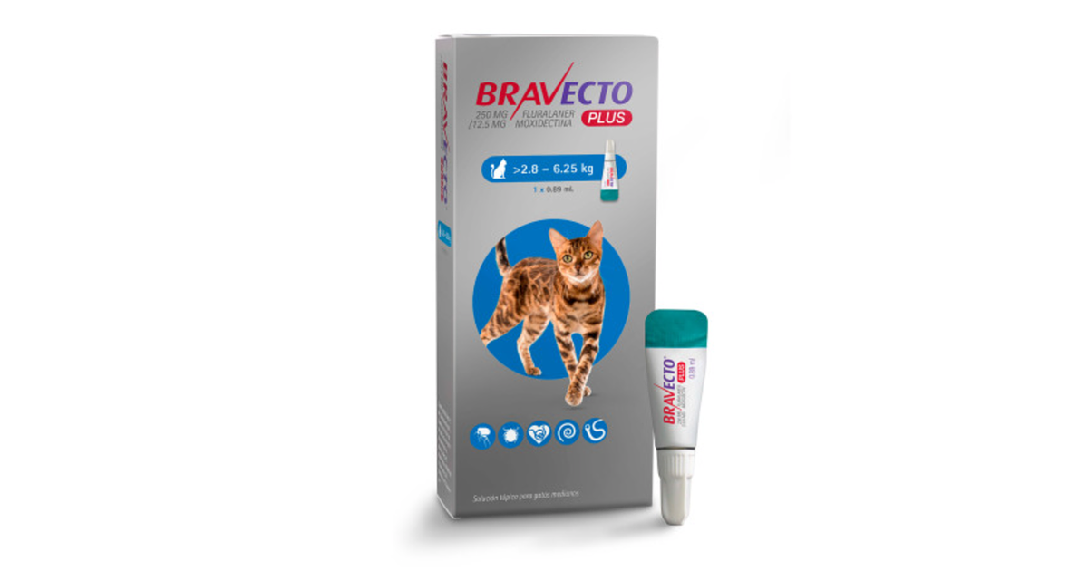 Bravecto Plus Gato 2.8 a 6.25 Kg