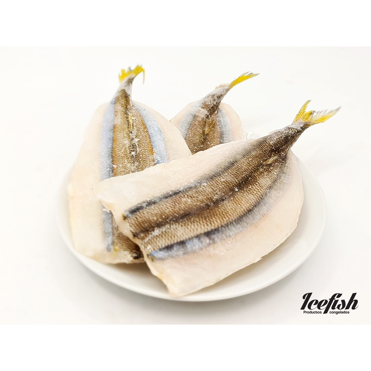 Pesca Nacional Albacora, Cojinoba, Congrio, Corvina, Merluza