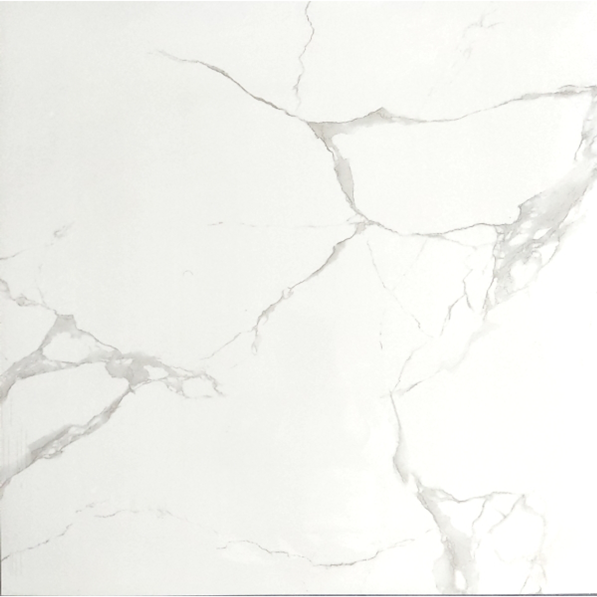 Porcelanato Mármol Blanco 60x60