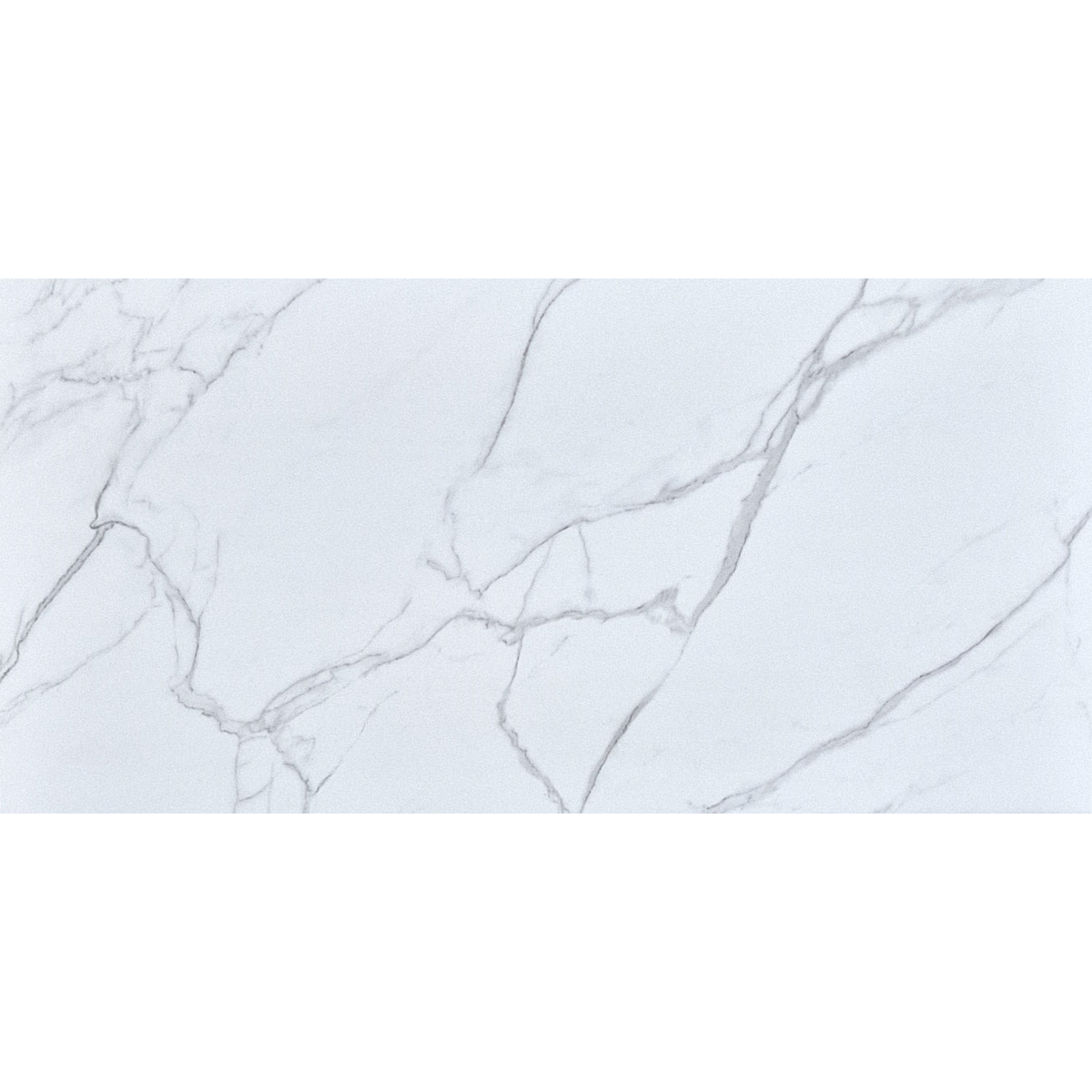 Porcelanato Mármol Blanco Mate 60x120