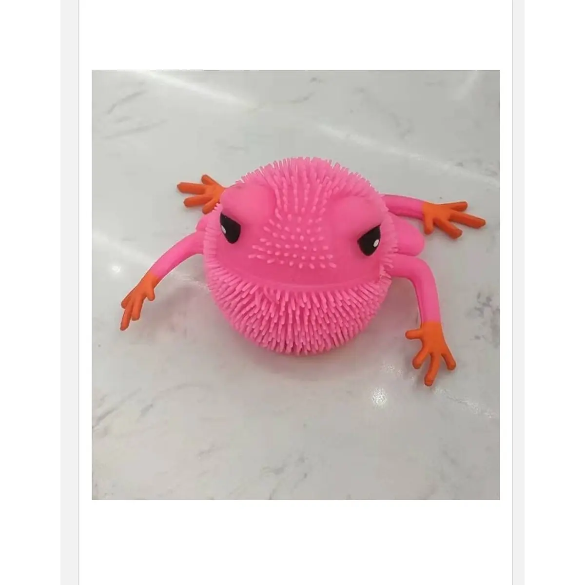 Rana buceadora de pelo grueso / squishy