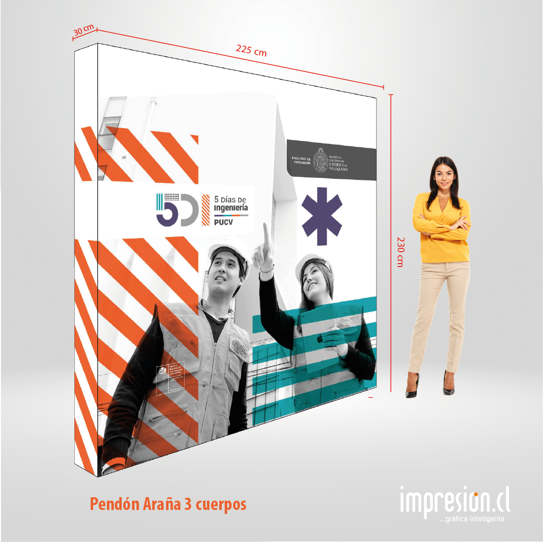 Panel Araña Textil 3 cuerpos