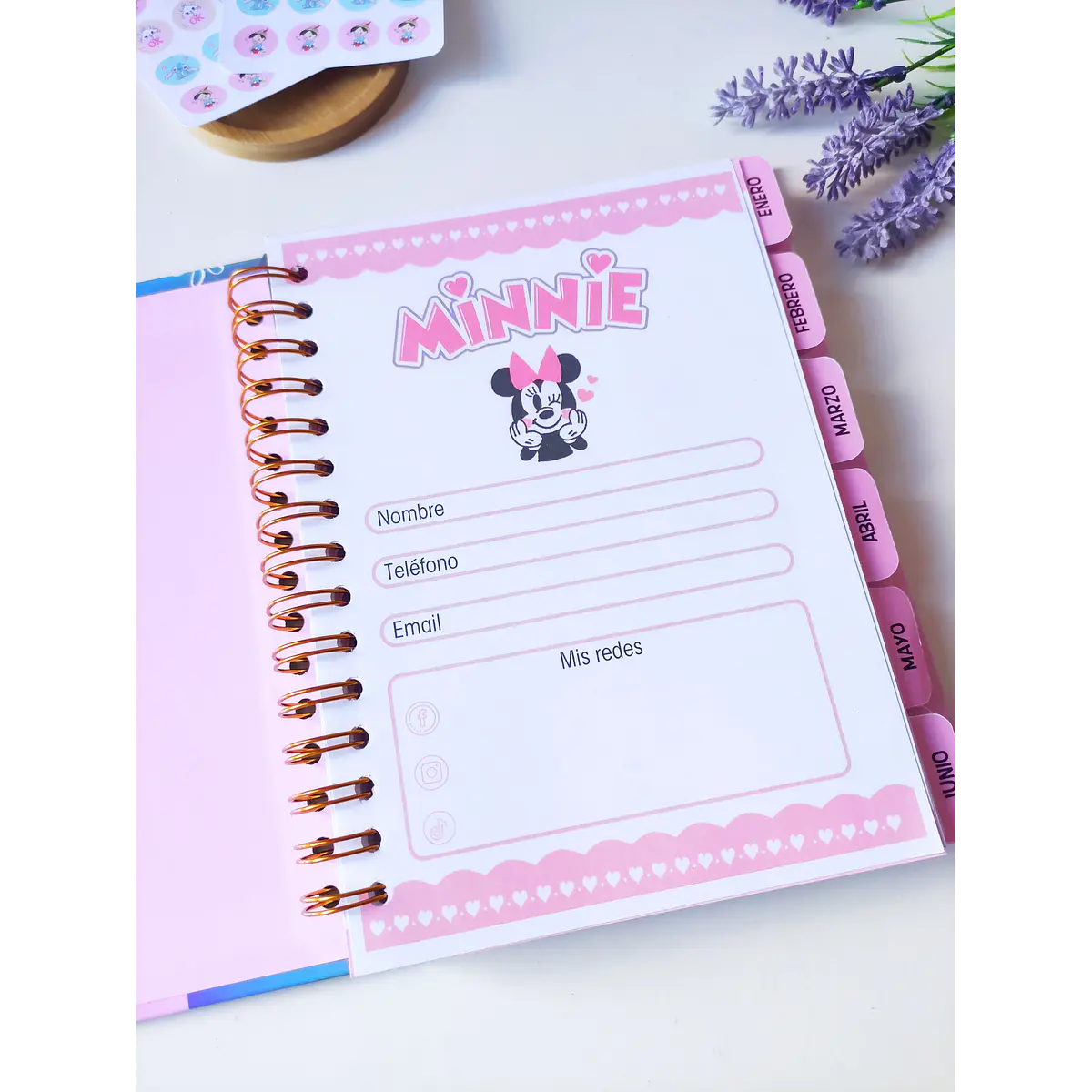 Planner Minnie Mouse