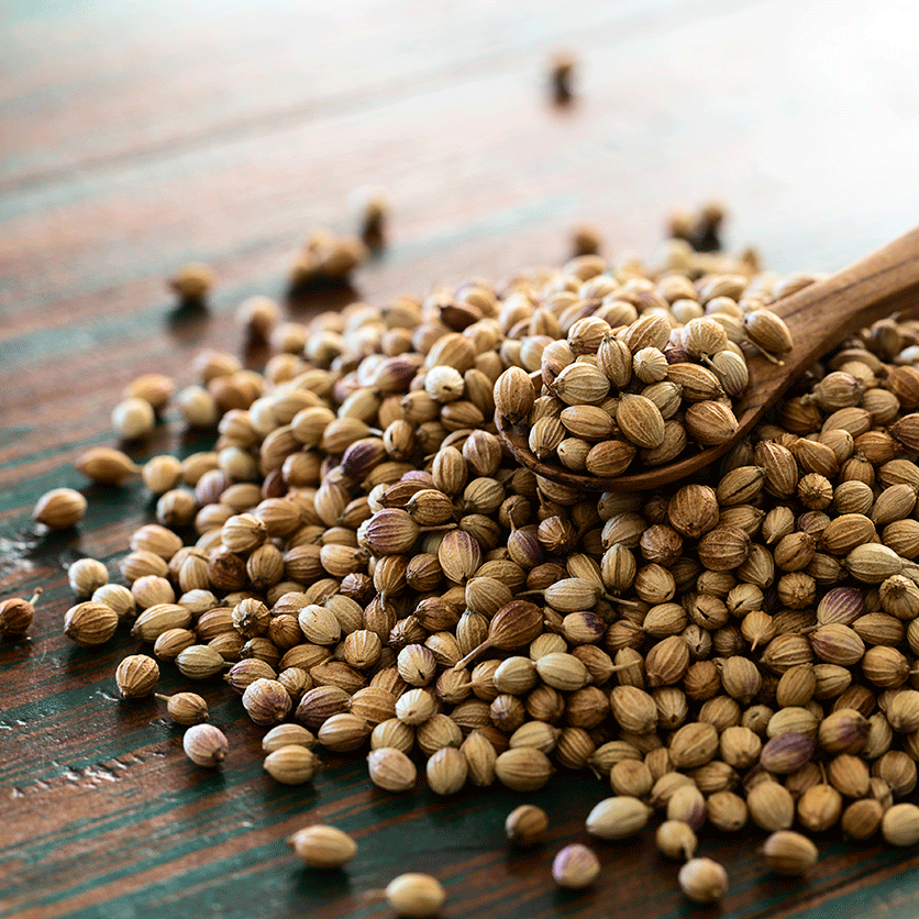 Cilantro Semilla / Coriandro