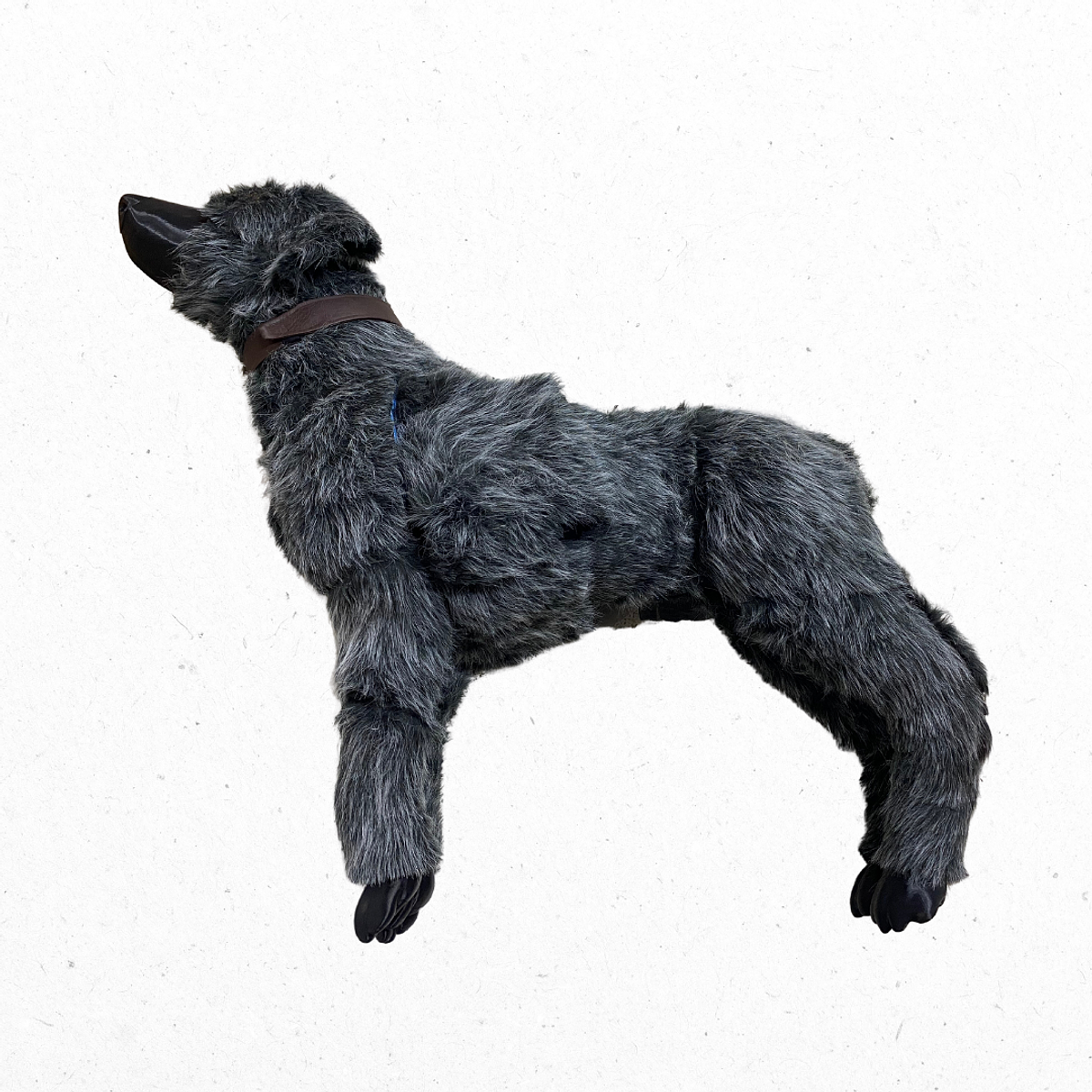 Simulador RCP Perro - InnHealth | Innhealth