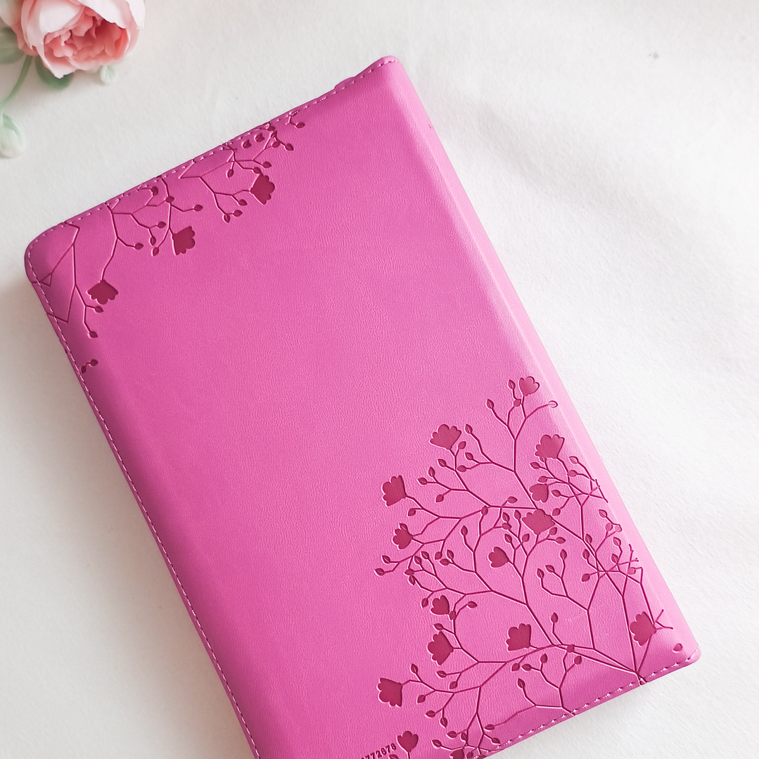 Biblia Letra Grande Fucsia Reina Valera 1960 (con índice)