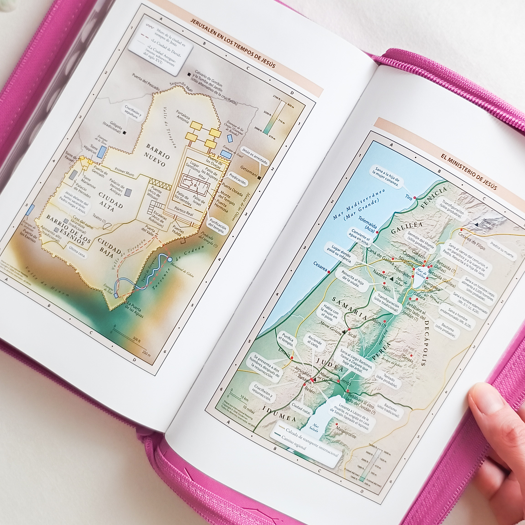 Biblia Letra Grande Fucsia Reina Valera 1960 (con índice)