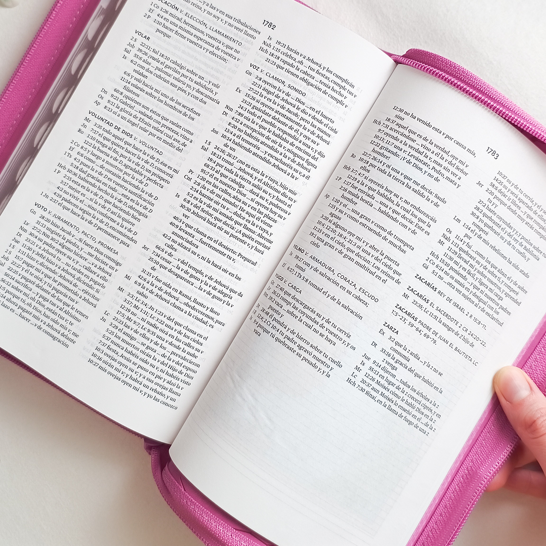 Biblia Letra Grande Fucsia Reina Valera 1960 (con índice)