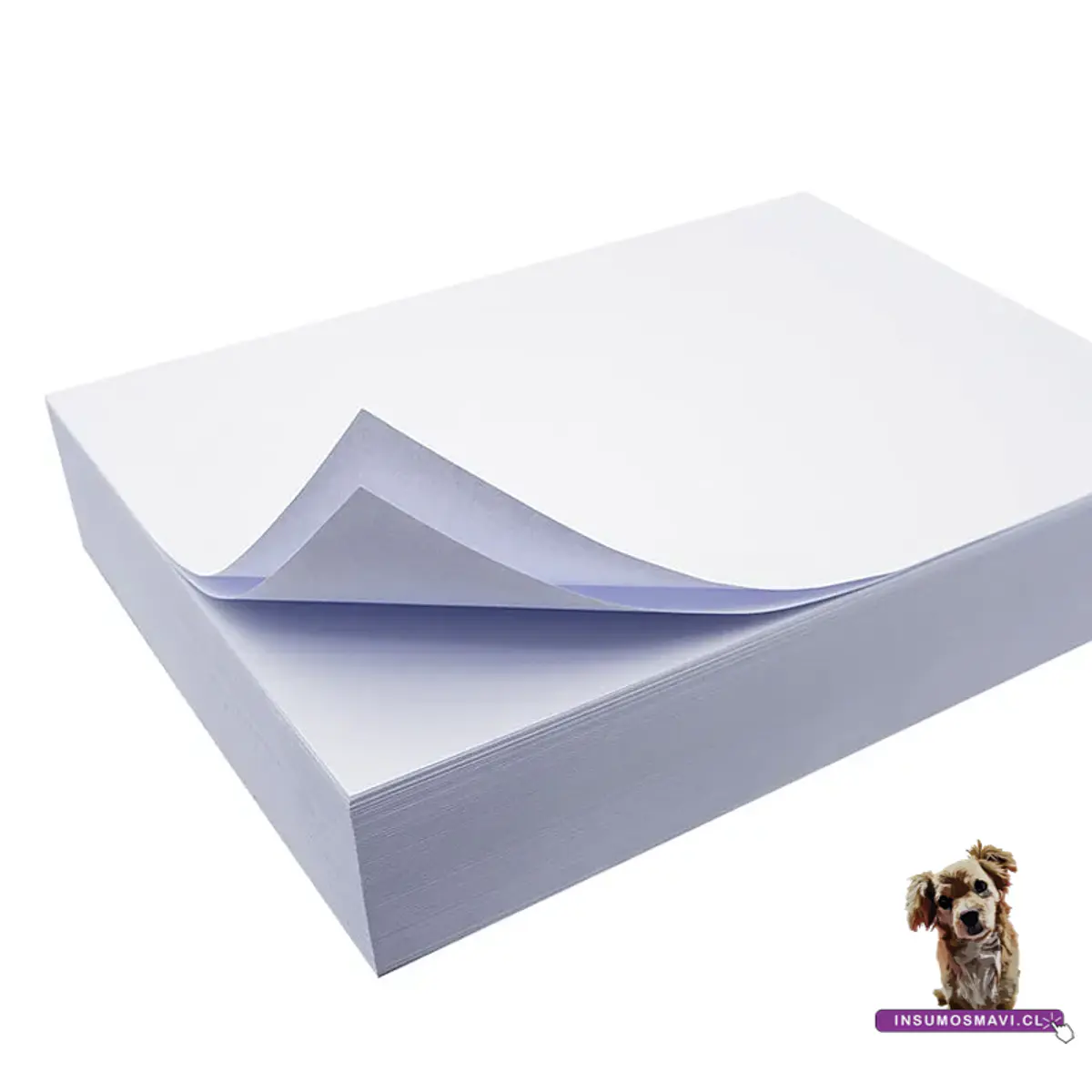 PAPEL MULTIPROPOSITO OFICIO 75 GR 500 HOJAS CHAMEX/EQUALIT/O | Insumos ...