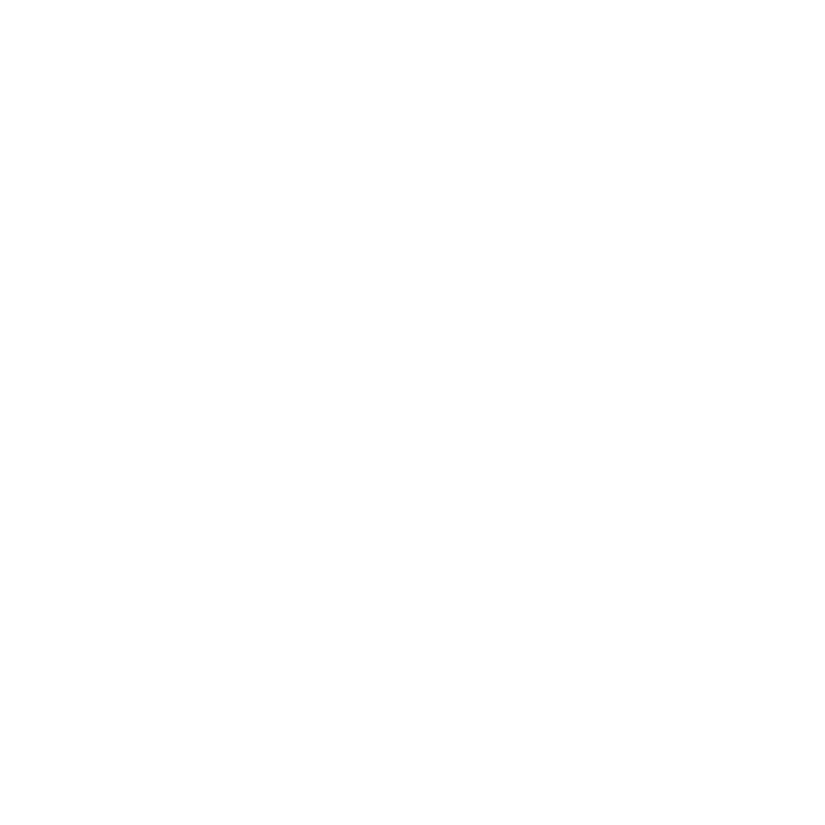 STICKERS 10X10 CM ADHESIVOS PARA VEHICULO