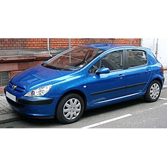 Manual De Despiece Peugeot 307 (2001–2008) Español