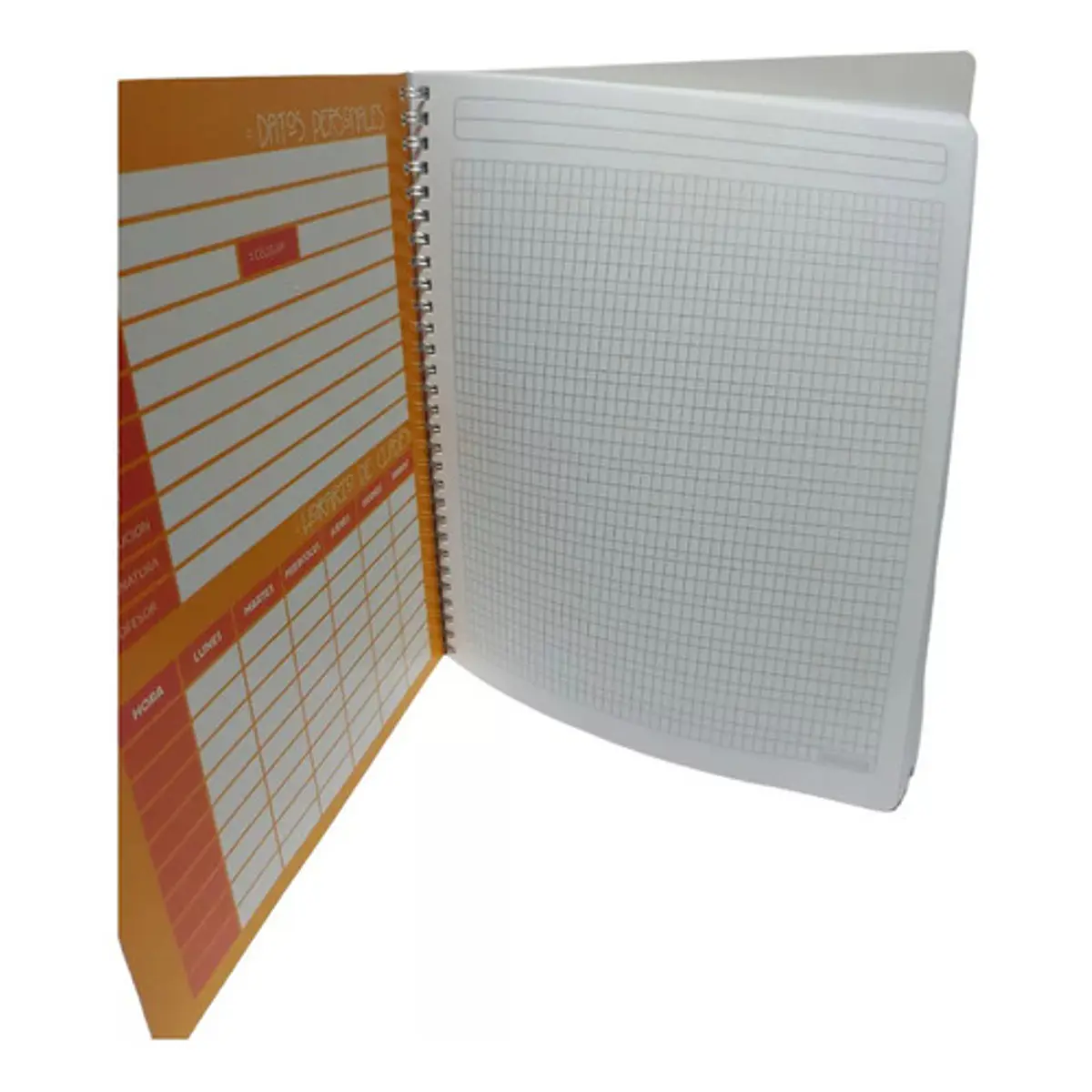 Cuaderno Universitario Proarte Caligrafia Vertical Pack 10 | ISA TOYS CHILE