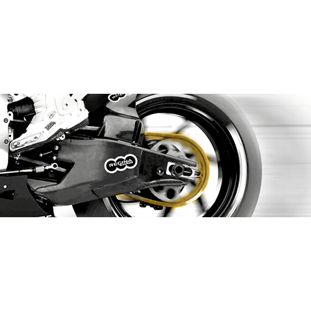 Regina Cross Supermotard, Reforzada SIN O'ring, doradas. 428